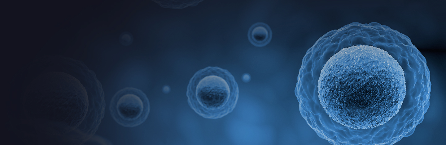 About | LifeSci Consulting